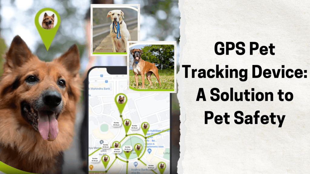 GPS Pet Tracking Device: A Solution To Pet Safety - Trakbond