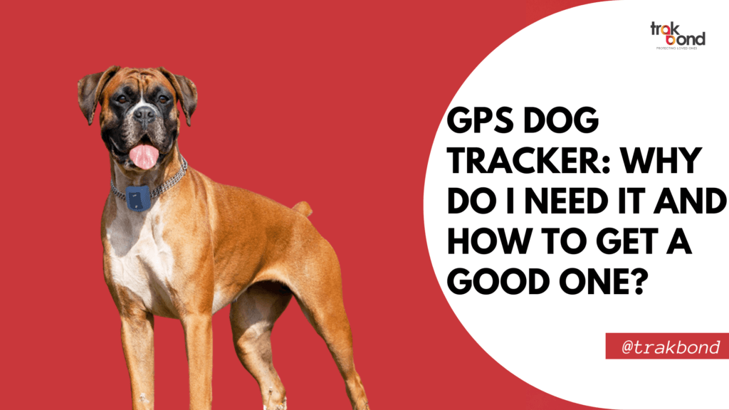 GPS Dog Tracker: Why Do I Need It And How To Get A Good One? - Trakbond