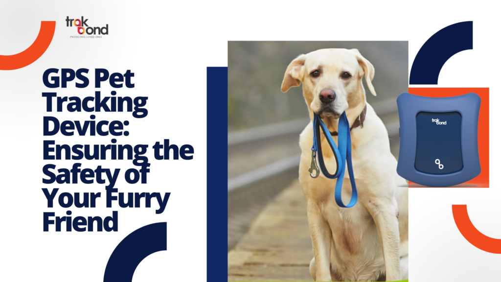GPS Pet Tracking Device: Ensuring The Safety Of Your Furry Friend ...