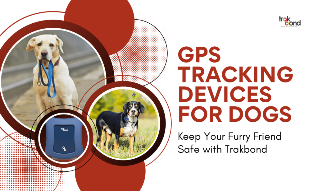 GPS Tracking Devices For Dogs: Keep Your Furry Friend Safe With ...