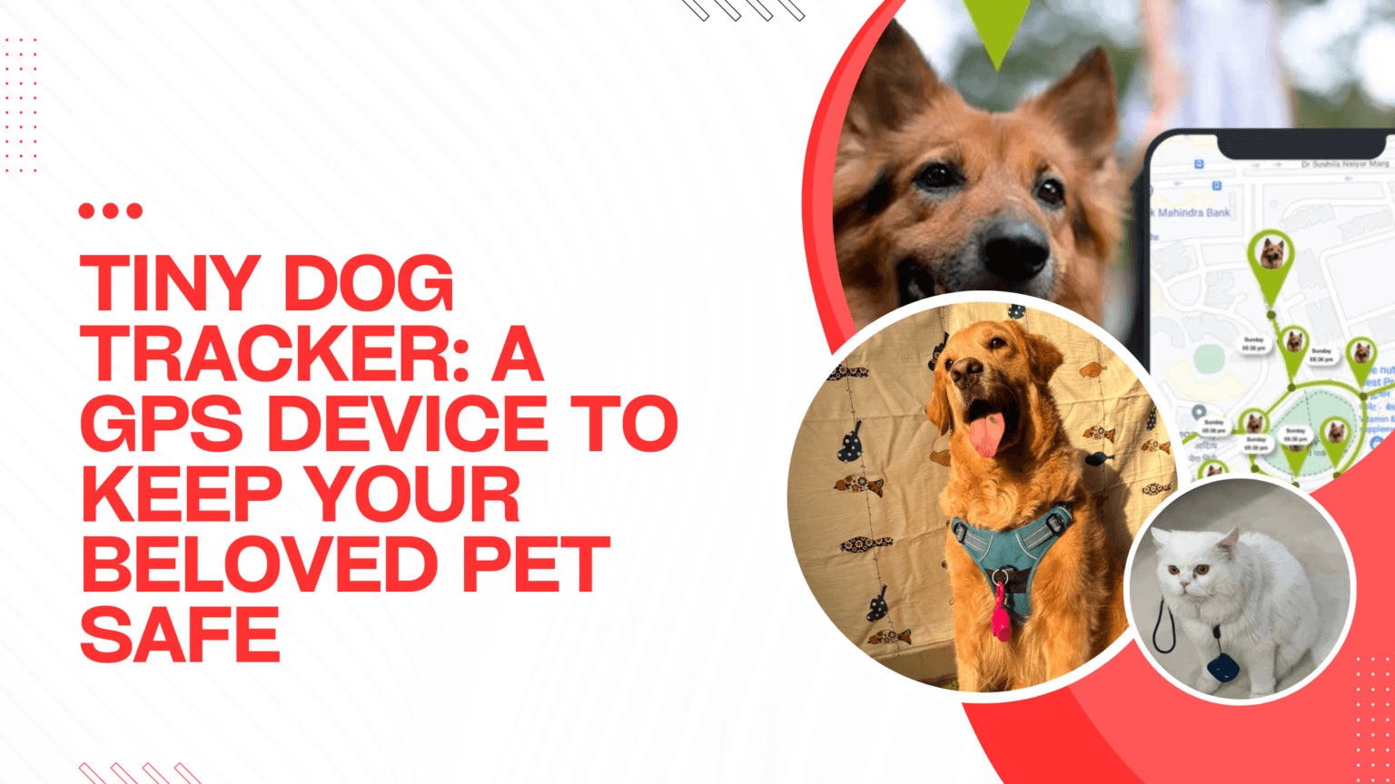 Tiny Dog Tracker: A GPS Device To Keep Your Beloved Pet Safe - Trakbond