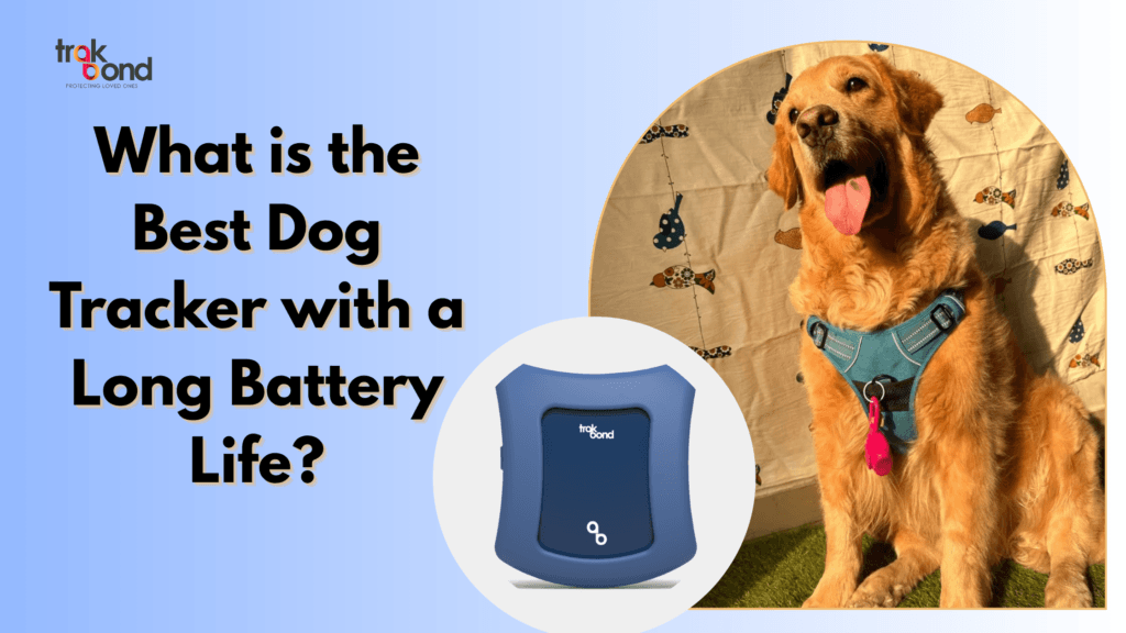 What Is The Best Dog Tracker With A Long Battery Life? - Trakbond