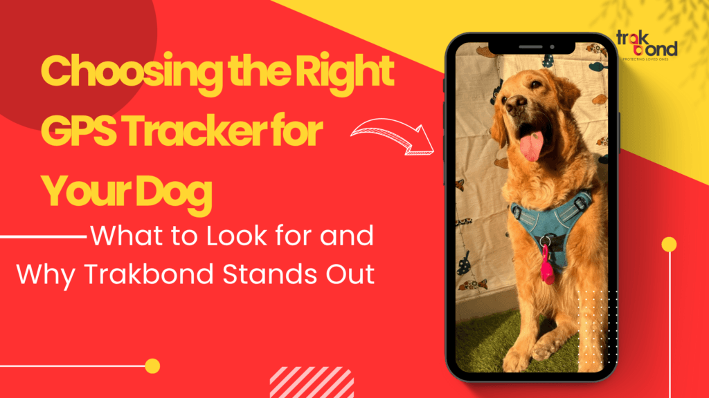 Choosing The Right GPS Tracker For Your Dog: What To Look For And Why ...