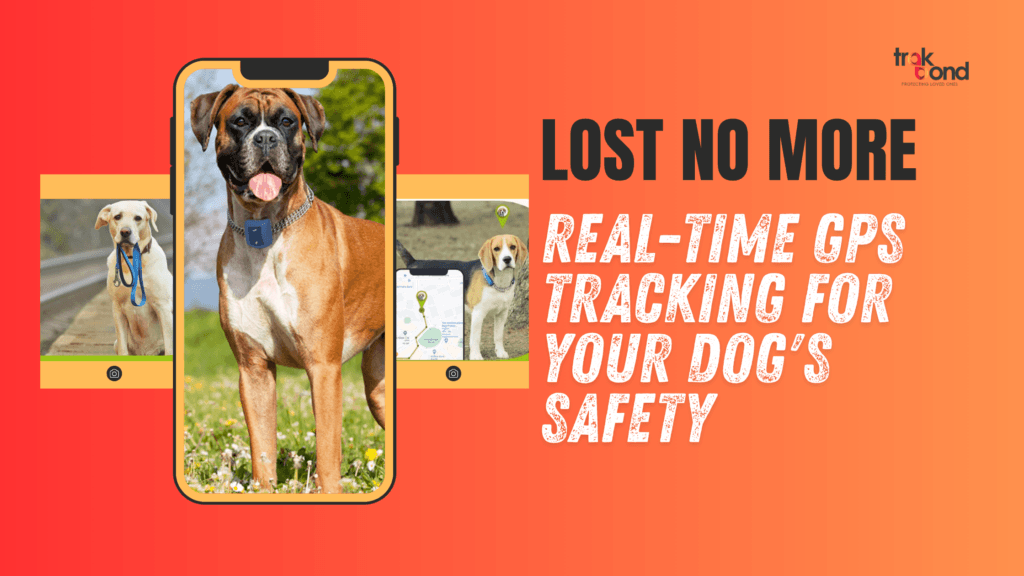 Lost No More: Real-Time GPS Tracking For Your Dog's Safety - Trakbond